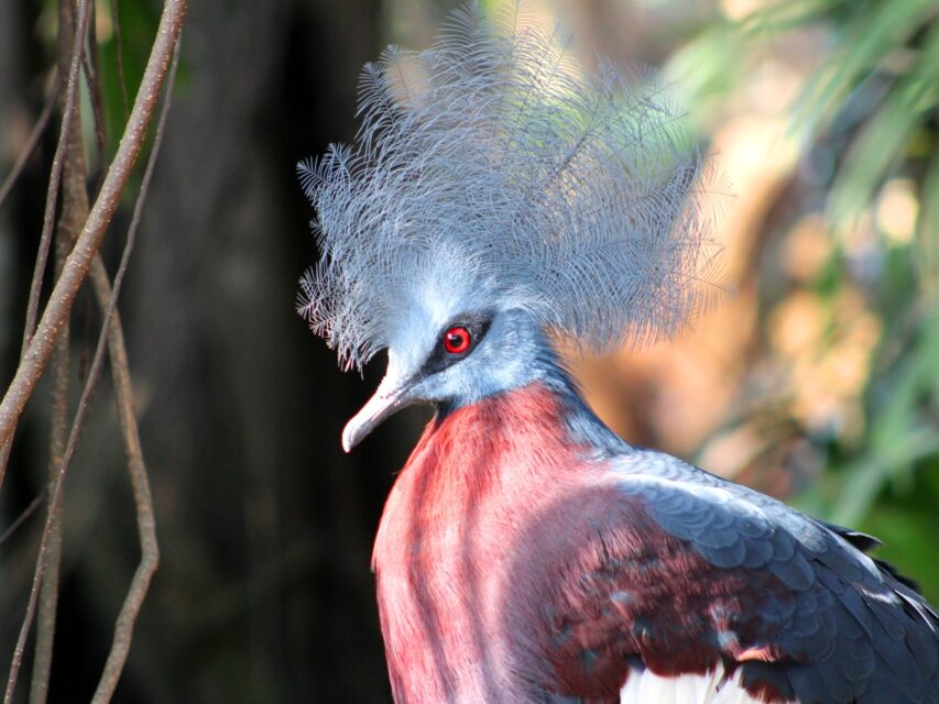 Animals at Marwell Zoo, Hampshire | Marwell Zoo