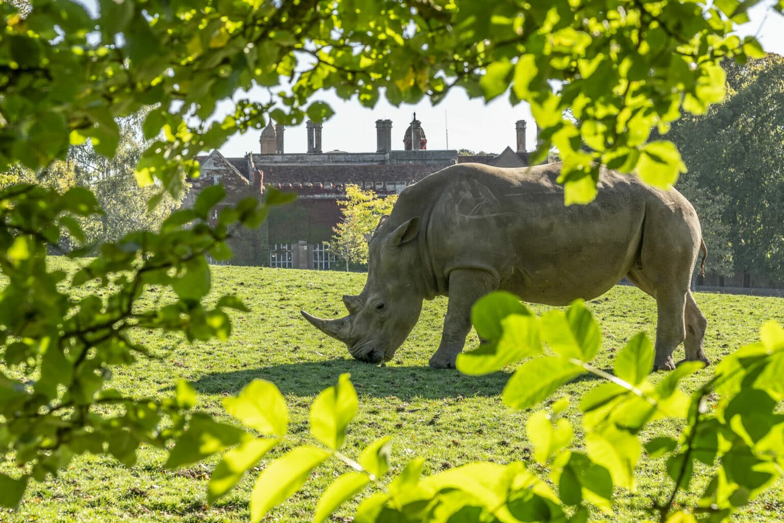 Annual Zoo Membership | Marwell Wildlife Membership