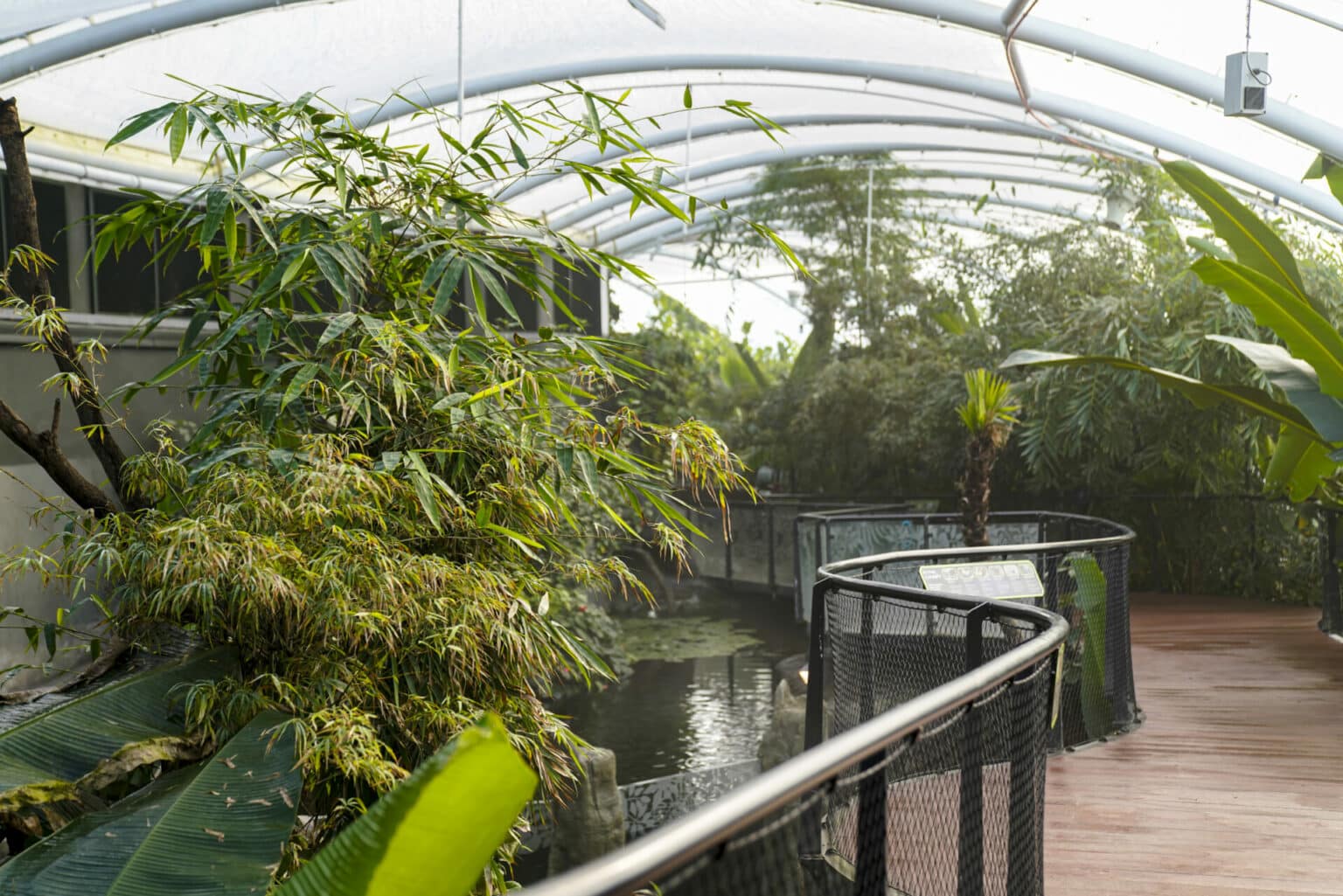 Tropical House | Explore | Marwell Zoo