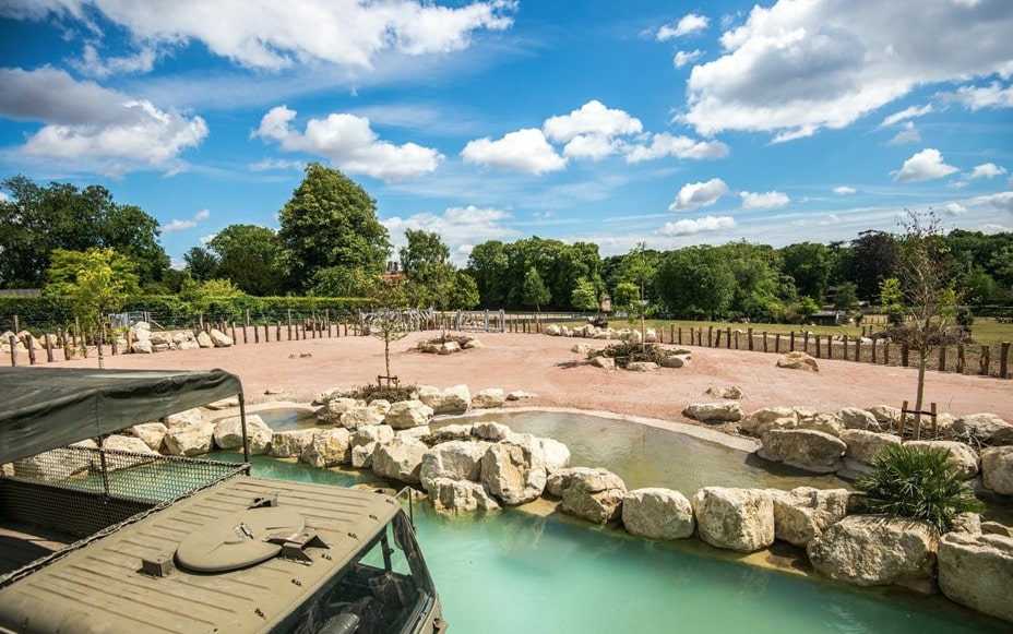 Wild Explorers Trail and Exhibit | Explore | Marwell Zoo