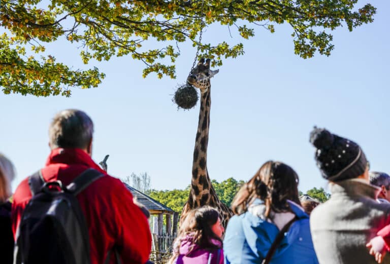 Marwell Zoo Gift Tickets | Gift a Zoo Day | Marwell Zoo