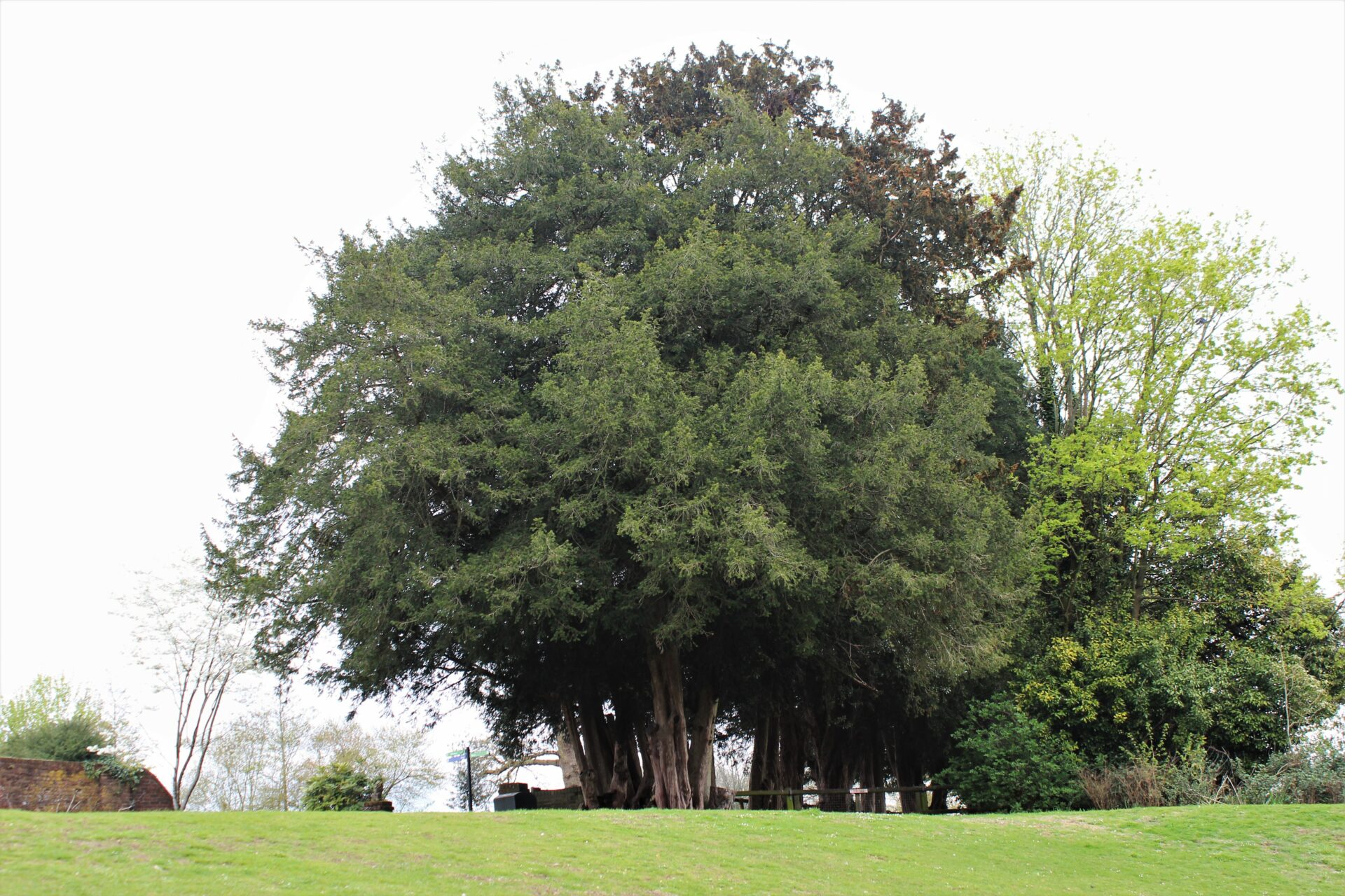 Marwell's 50th Anniversary | Marwell Zoo