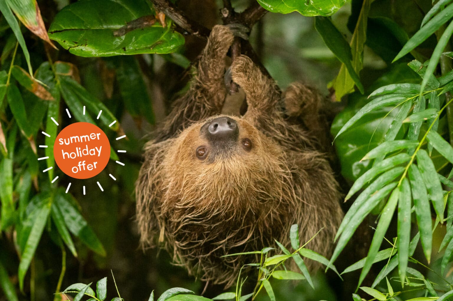 Days out in Hampshire | Family day out near me | Marwell Zoo