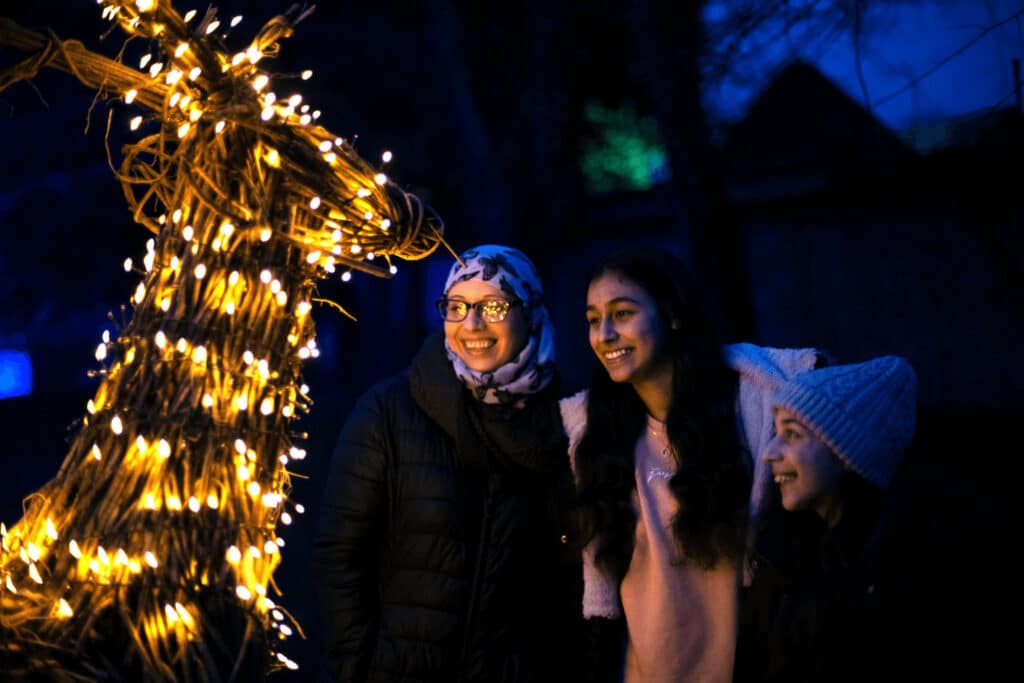 Glow Marwell - A Winter Light Trail | Marwell Zoo