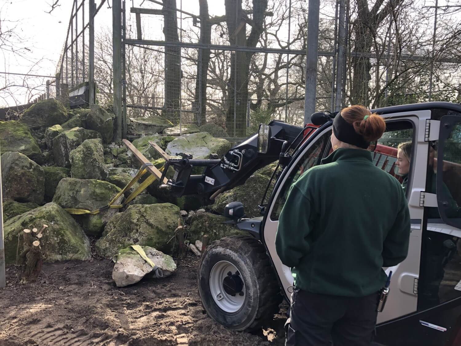 How do you build an animal habitat? - Marwell Zoo