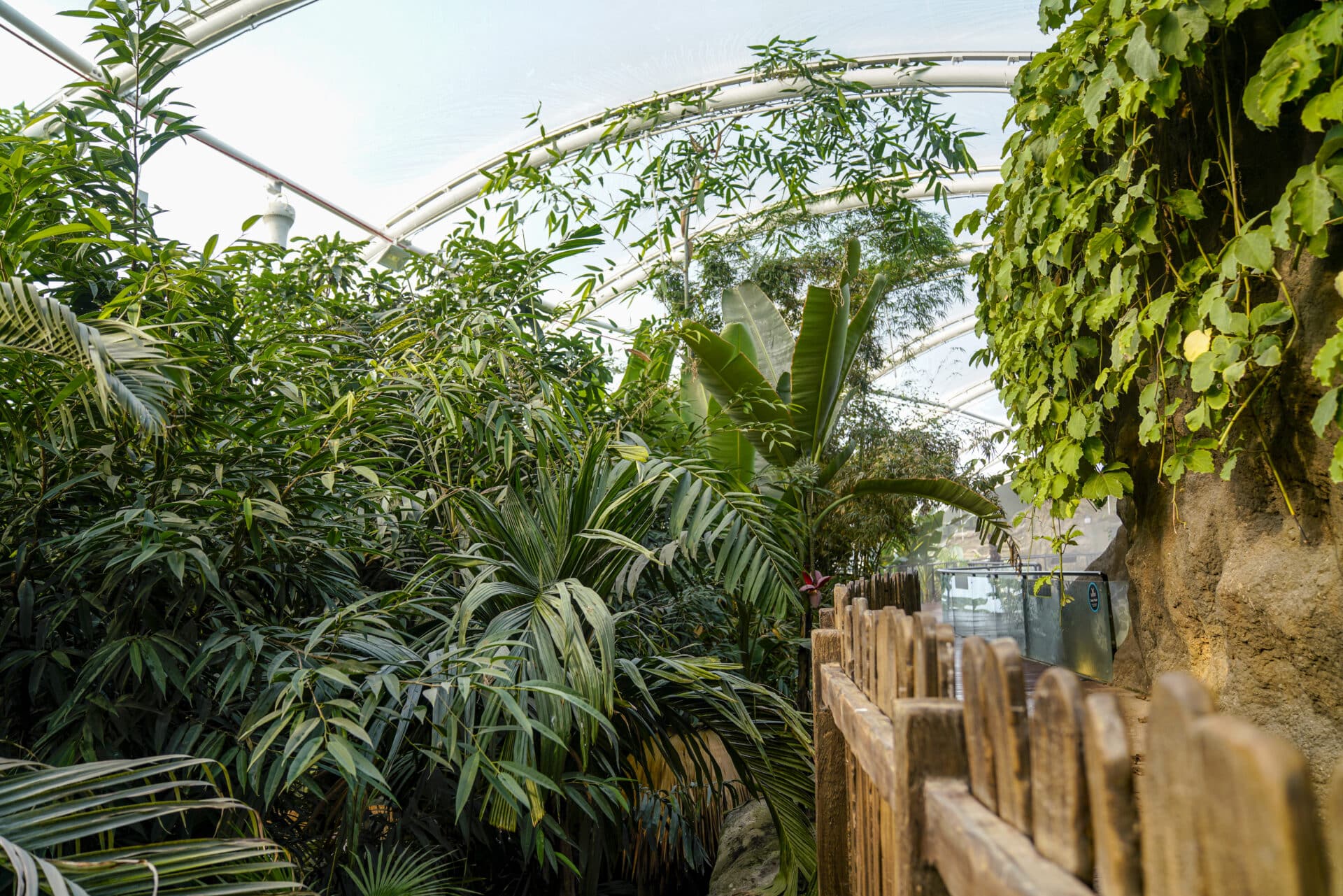 Tropical House | Explore | Marwell Zoo