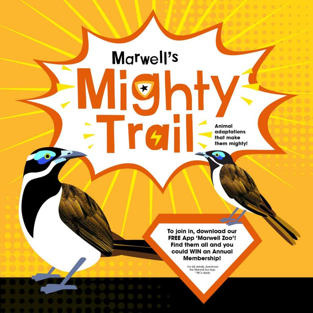 Marwell’s Mighty Trail: Discover the hidden "superpowers" of our ...