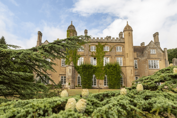 Enjoy Afternoon Tea in Historic Marwell Hall | Marwell Zoo
