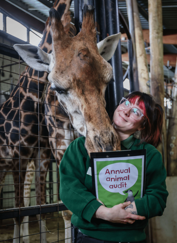 Annual Animal Audit 🦒🐌 - Marwell Zoo