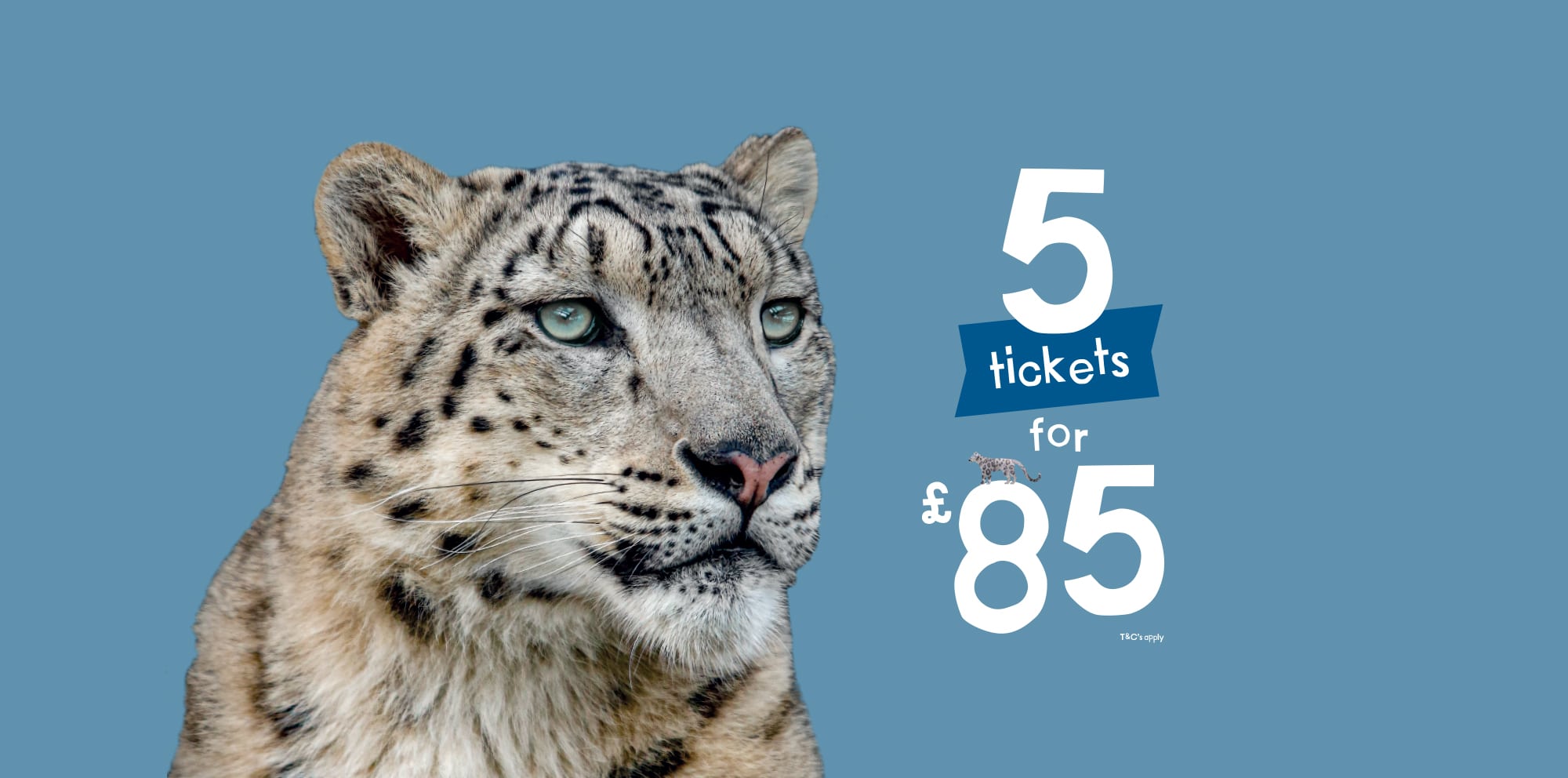 Days out in Hampshire | Family day out near me | Marwell Zoo
