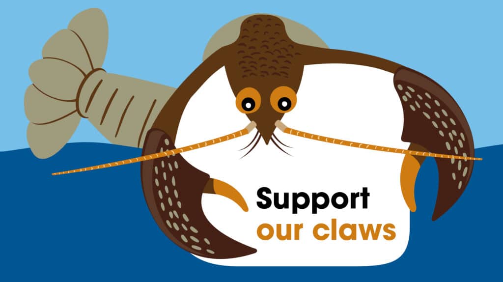 Help Us Raise £20,000 for a New Zoo Species | Marwell Zoo