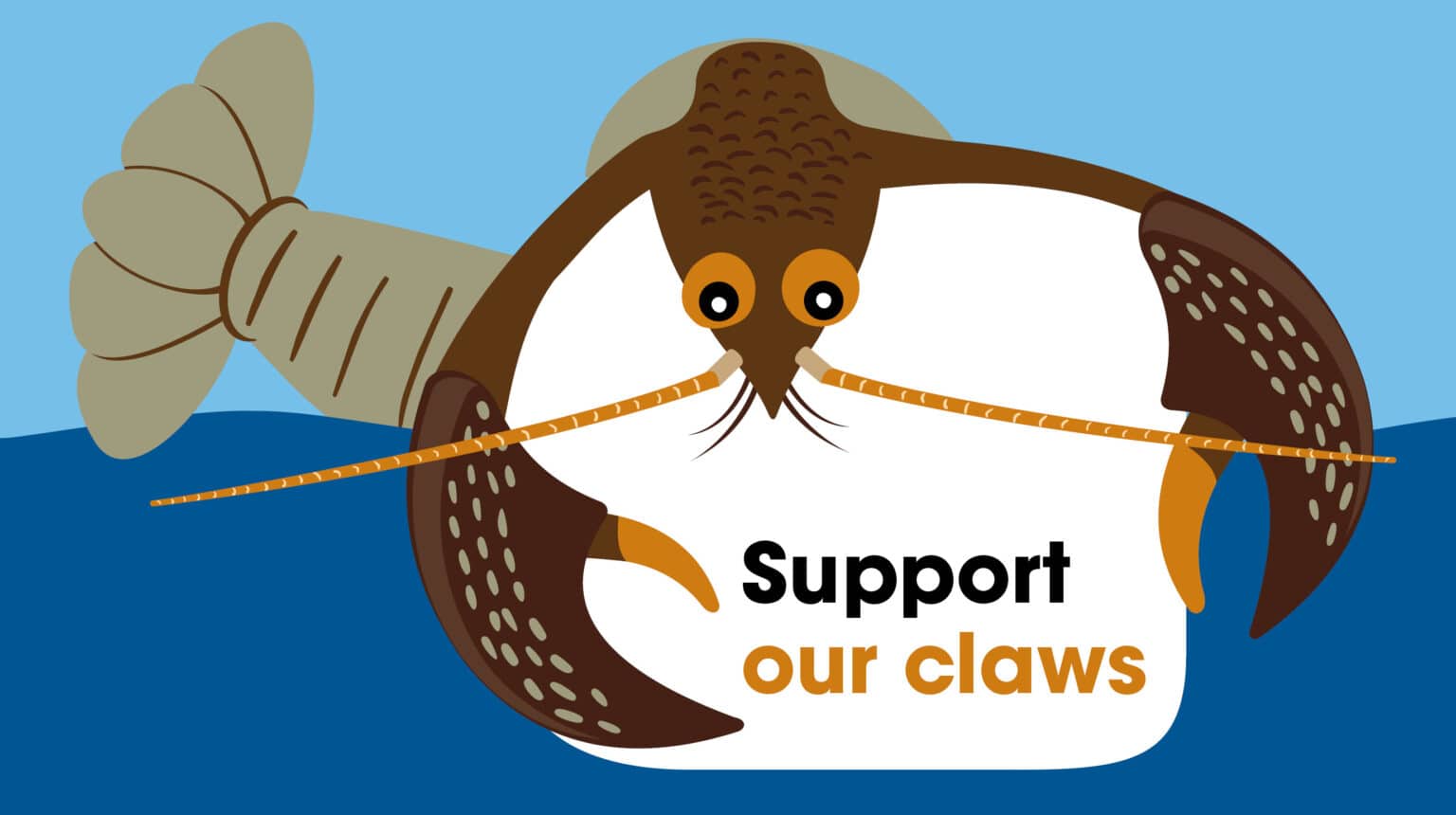 Help Us Raise £20,000 for a New Zoo Species | Marwell Zoo