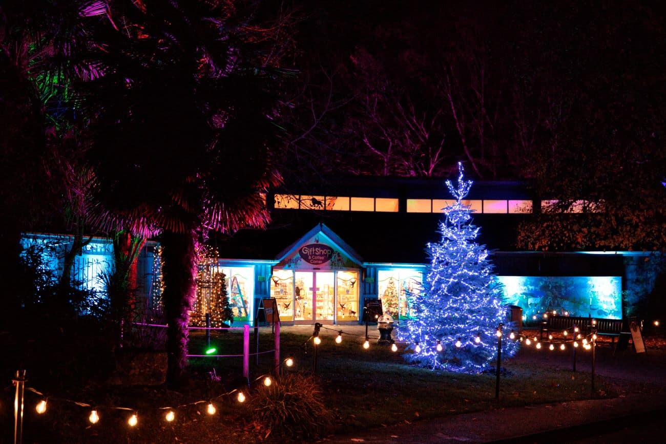Glow Marwell is back and it's going to be spectacular! 🌟 - Marwell Zoo