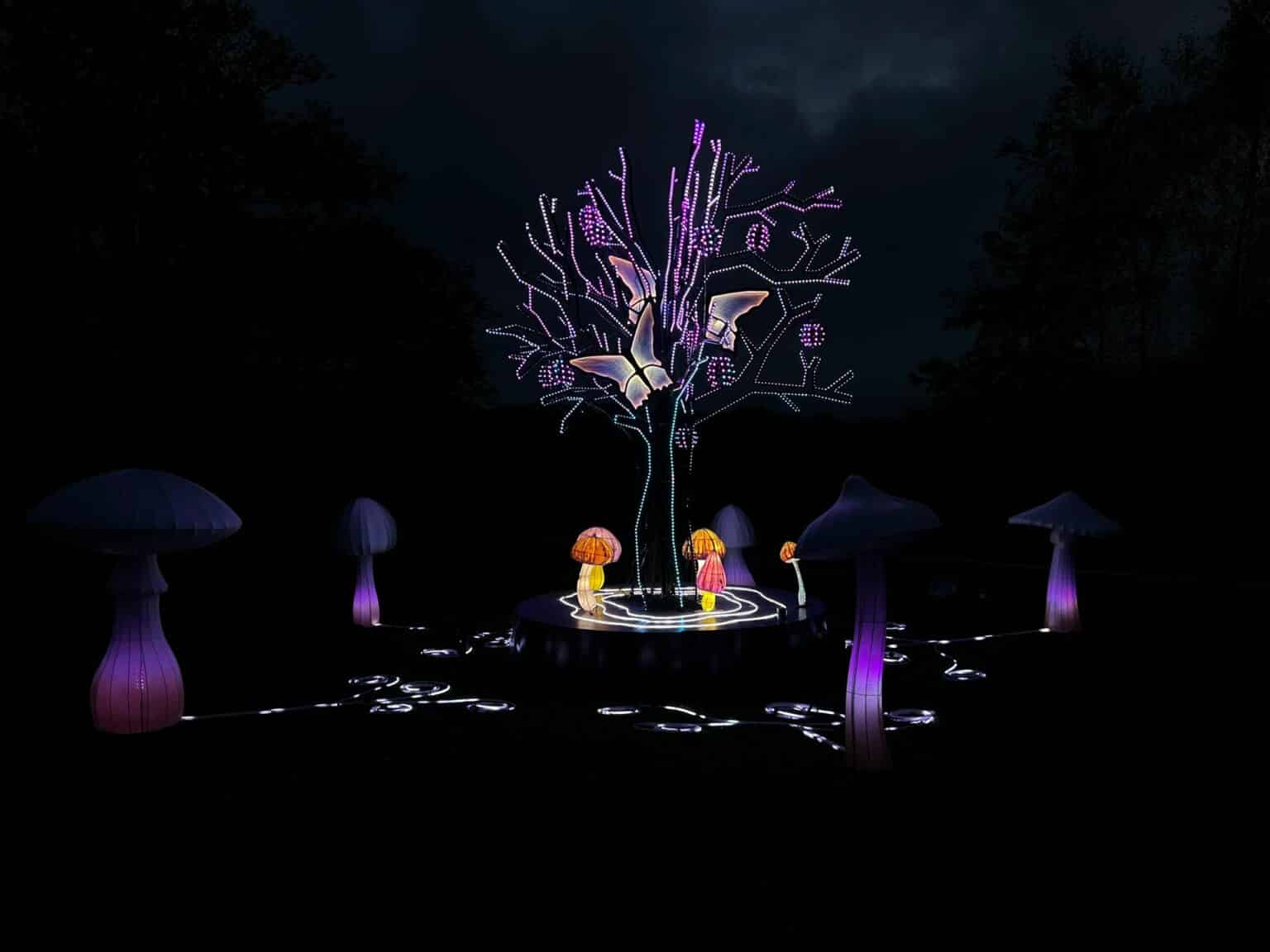 Shining a light on a hidden communication network - Marwell Zoo