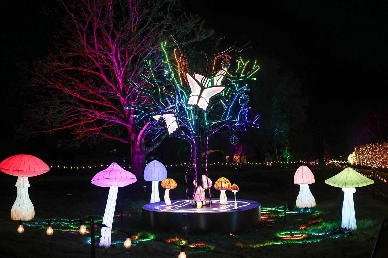 The magic of Glow Marwell returns - Marwell Zoo