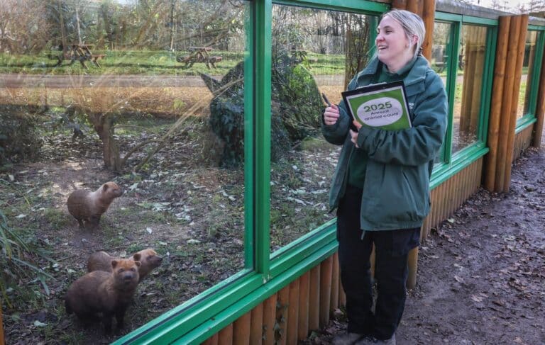 Marwell Zoo’s annual stocktake celebrates record births and ...