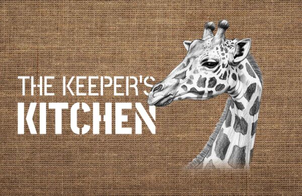 Unveiling our new 100-seater café serving local treats | Marwell Zoo