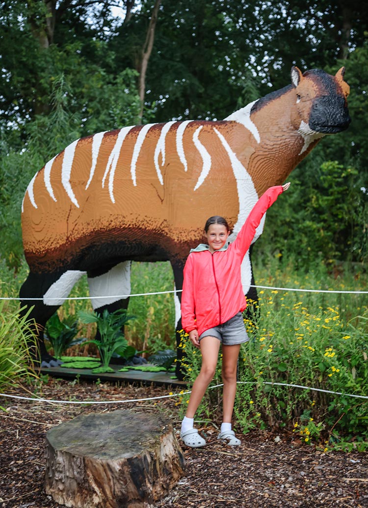 Your favourite extinct animals arrive at Marwell Zoo