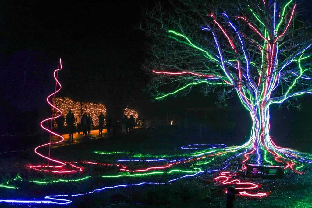 Glow Marwell - A Winter Light Trail | Marwell Zoo